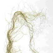 Algal Uniformly 13C - IsoLife